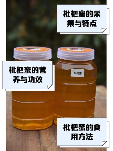 枇杷蜂蜜的功效与作用_枇杷蜂蜜适合什么人喝-第1张图片-山城妙识