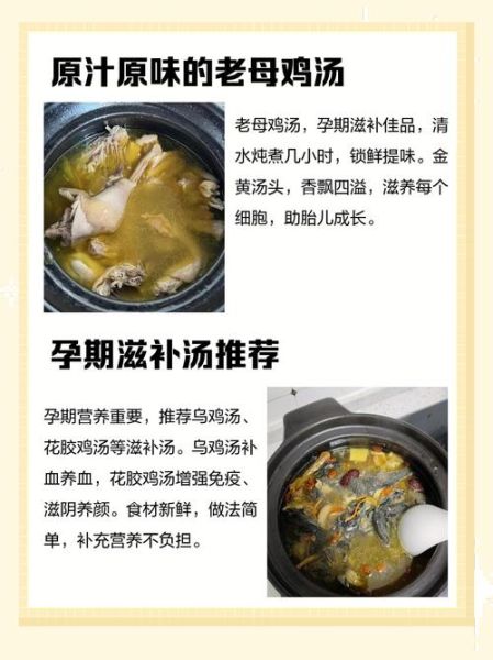 孕妇鸡汤怎么炖好喝又营养_孕妇喝鸡汤的最佳做法-第3张图片-山城妙识