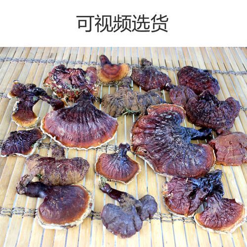 最贵的野生灵芝多少钱一斤_野生灵芝价格为什么那么高-第3张图片-山城妙识 最贵的野生灵芝多少钱一斤_野生灵芝价格为什么那么高-第3张图片-山城妙识