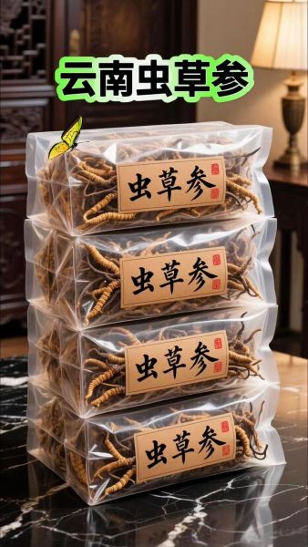 冬虫草有什么功效_冬虫草怎么吃效果最好-第1张图片-山城妙识