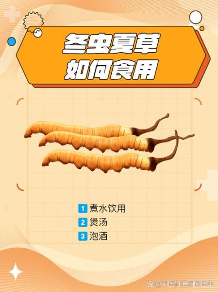 冬虫草有什么功效_冬虫草怎么吃效果最好-第2张图片-山城妙识