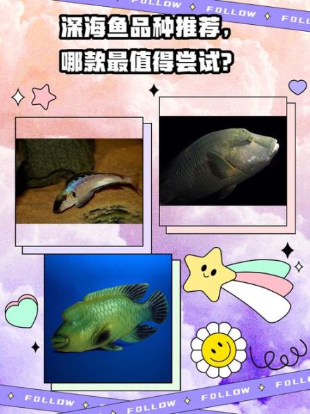 什么鱼是深海鱼_深海鱼有哪些常见种类-第2张图片-山城妙识