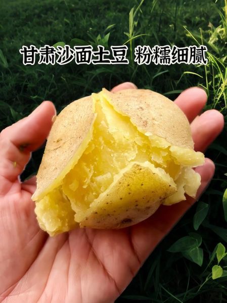 马铃薯价格走势_今年土豆为何忽高忽低-第3张图片-山城妙识