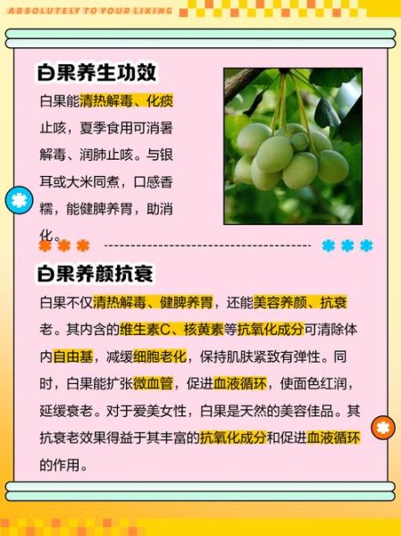 女人吃白果有什么好处_女人吃白果的禁忌-第1张图片-山城妙识