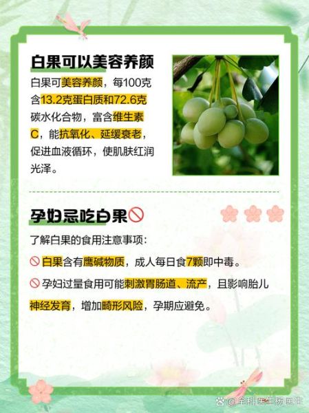 女人吃白果有什么好处_女人吃白果的禁忌-第3张图片-山城妙识