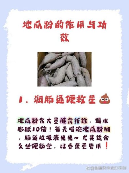 红薯粉减肥能吃吗_红薯粉的功效与作用-第1张图片-山城妙识