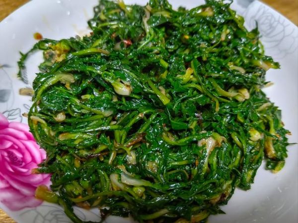 蒲公英凉拌怎么做好吃_蒲公英凉拌要不要焯水-第2张图片-山城妙识