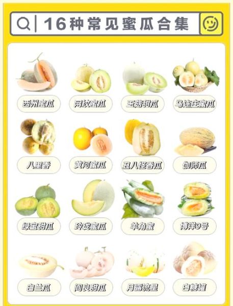 哈密瓜热量多少卡_减肥能吃吗-第1张图片-山城妙识 哈密瓜热量多少卡_减肥能吃吗-第1张图片-山城妙识