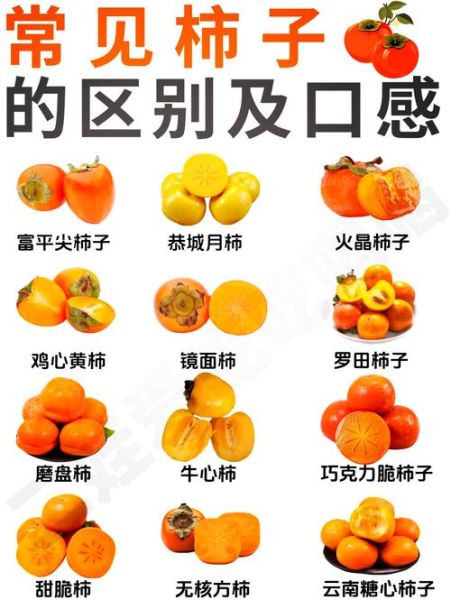 柿子什么时候成熟_如何判断柿子是否成熟-第1张图片-山城妙识