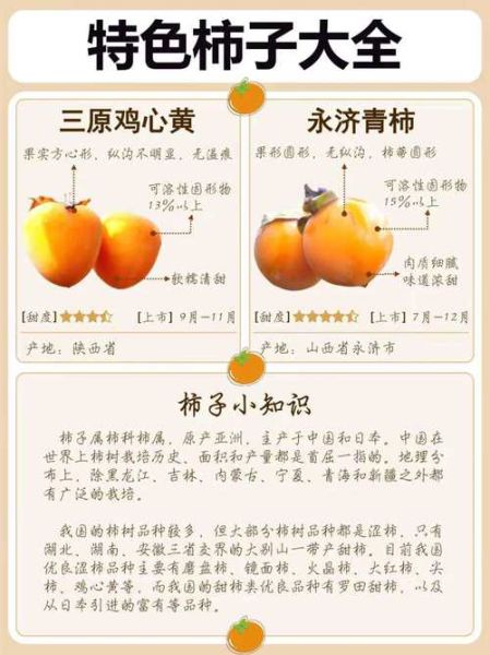 柿子有什么功效与作用_柿子怎么吃最好-第2张图片-山城妙识