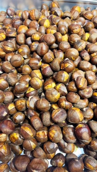 吃板栗会上火吗_板栗上火真相-第1张图片-山城妙识