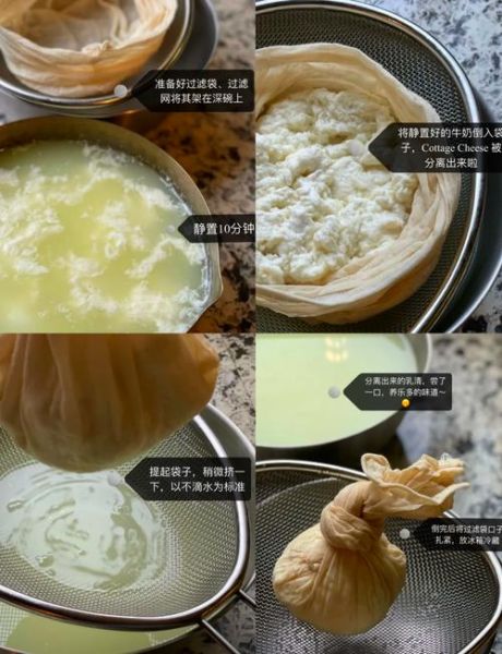 白干酪怎么做_白干酪和奶酪区别-第3张图片-山城妙识