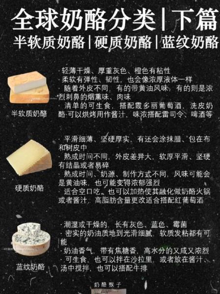 白干酪怎么做_白干酪和奶酪区别-第2张图片-山城妙识