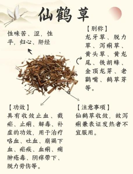 仙鹤草的功效与作用_仙鹤草主治哪些疾病-第1张图片-山城妙识 仙鹤草的功效与作用_仙鹤草主治哪些疾病-第1张图片-山城妙识