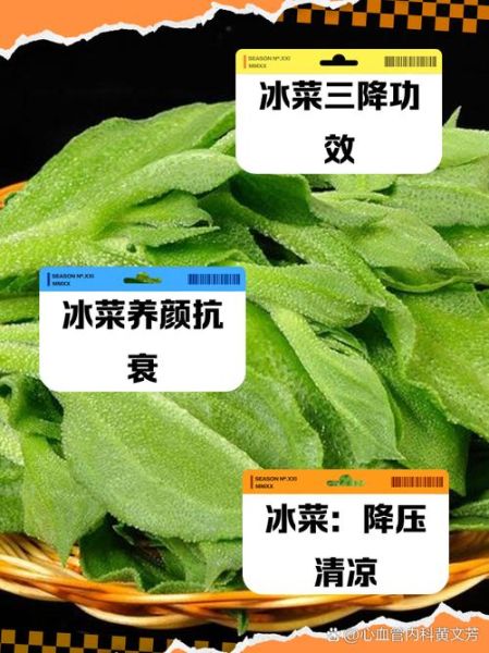 冰菜的功效与禁忌_冰菜怎么吃最健康-第1张图片-山城妙识