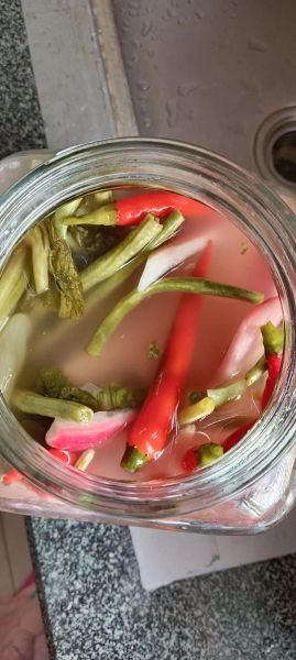 四川泡菜怎么做_四川泡菜正宗做法-第2张图片-山城妙识