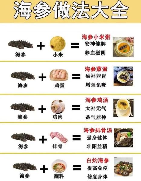 辽参的功效与作用_辽参怎么吃最营养-第1张图片-山城妙识