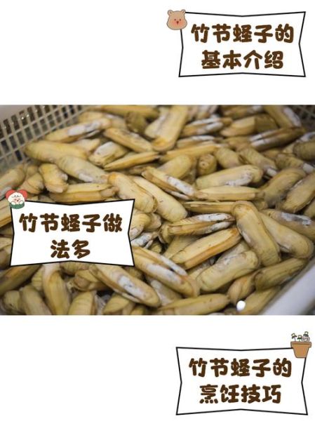 竹蛏子多少钱一斤_竹蛏子价格为什么波动大-第1张图片-山城妙识