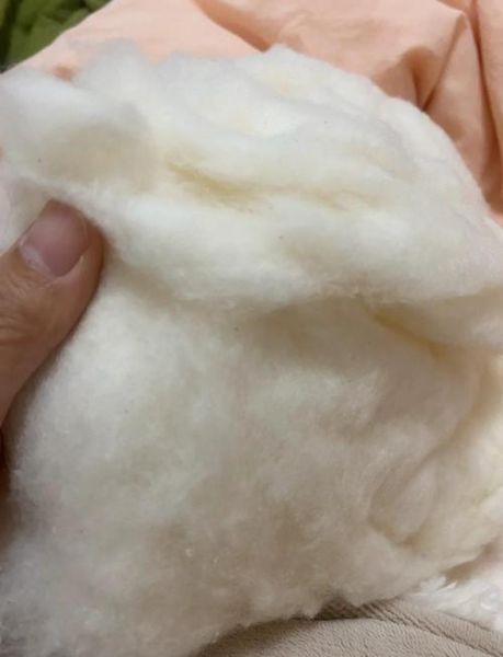 肉松饼里面有棉花是真的吗_肉松饼棉花谣言真相-第3张图片-山城妙识