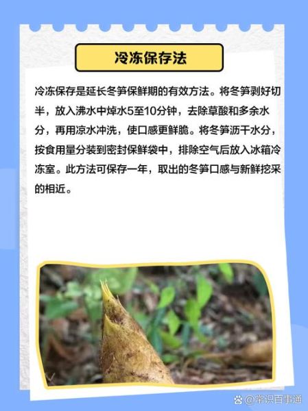 冬笋怎么挑选_冬笋怎么保存-第3张图片-山城妙识 冬笋怎么挑选_冬笋怎么保存-第3张图片-山城妙识