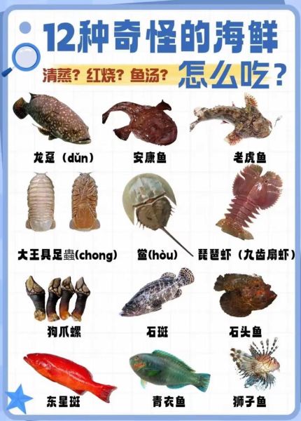 海鲜种类有哪些_海鲜怎么分类-第1张图片-山城妙识