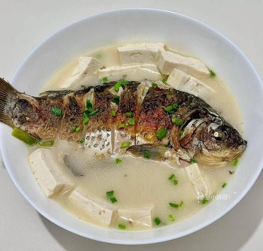 鲤鱼怎么炖汤_鲤鱼汤怎么炖才白-第1张图片-山城妙识