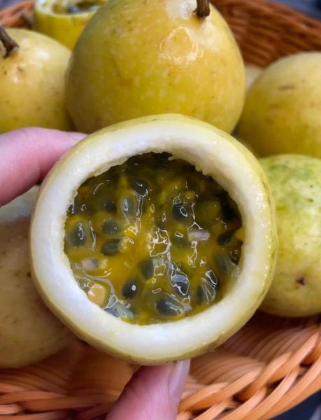 百香果怎么吃最好_百香果的吃法有哪些-第3张图片-山城妙识 百香果怎么吃最好_百香果的吃法有哪些-第3张图片-山城妙识