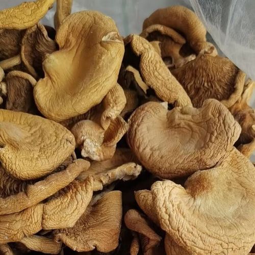 元蘑怎么做好吃_元蘑的家常做法大全-第3张图片-山城妙识