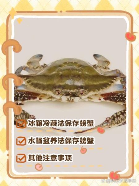 螃蟹怎么长期保存_活螃蟹能放冰箱多久-第1张图片-山城妙识 螃蟹怎么长期保存_活螃蟹能放冰箱多久-第1张图片-山城妙识