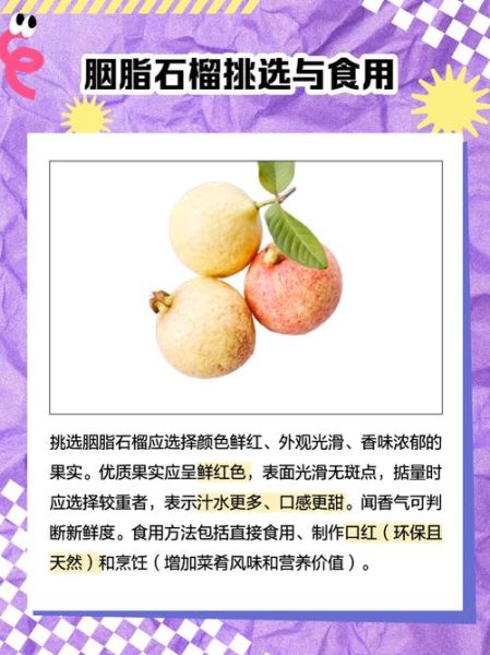 石榴的营养价值及功效_石榴怎么吃最营养-第3张图片-山城妙识