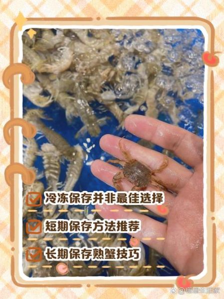 螃蟹怎么长期保存_活螃蟹能放冰箱多久-第2张图片-山城妙识 螃蟹怎么长期保存_活螃蟹能放冰箱多久-第2张图片-山城妙识