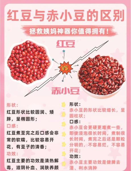 红小豆和赤小豆的区别_怎么区分-第1张图片-山城妙识