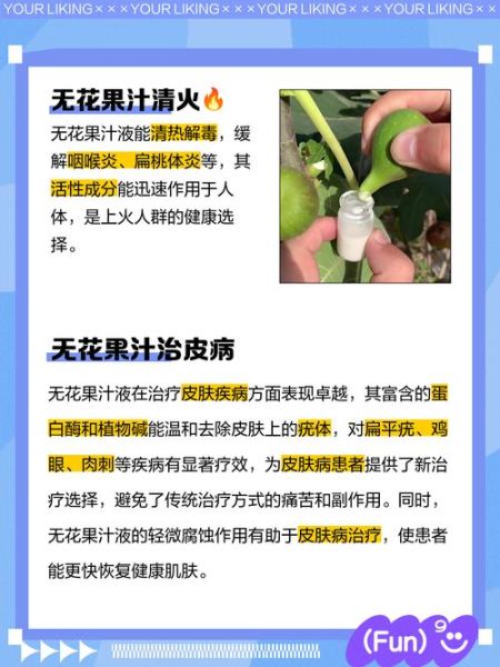 无花果白汁能治什么病_无花果白汁的功效与作用-第2张图片-山城妙识