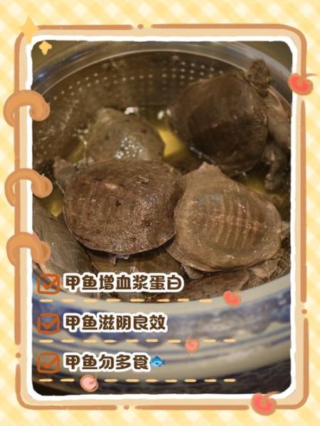 甲鱼头能吃吗_甲鱼头怎么处理-第1张图片-山城妙识