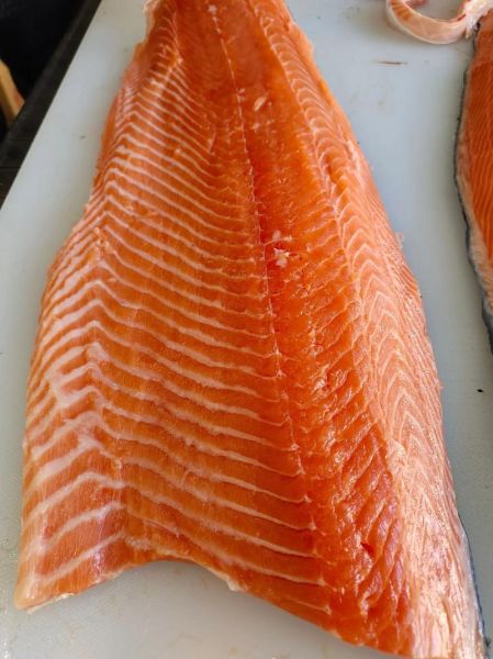 三文鱼长什么样子_三文鱼外形特征图解-第3张图片-山城妙识