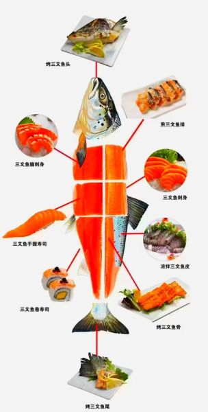 三文鱼长什么样子_三文鱼外形特征图解-第1张图片-山城妙识