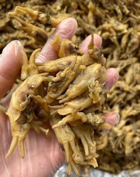 爆炒蛏子干怎么做_蛏子干需要泡发多久-第1张图片-山城妙识