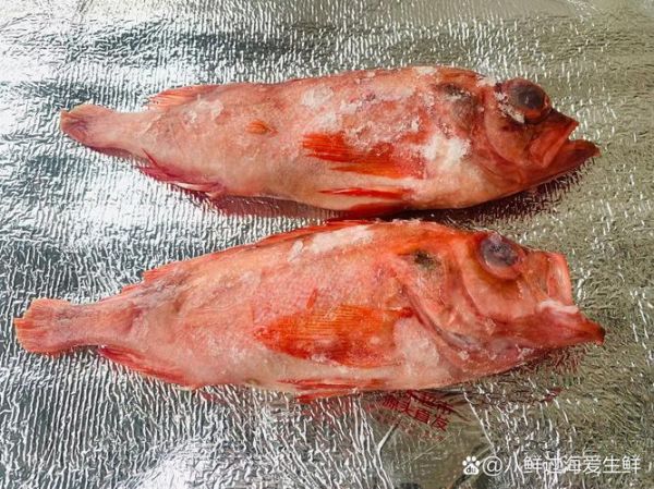 红斑鱼为什么这么贵_红斑鱼多少钱一斤-第1张图片-山城妙识