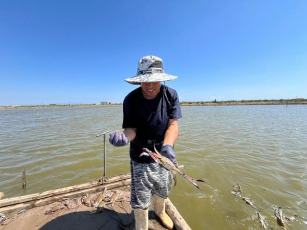 梭子蟹养殖基地选址_梭子蟹养殖技术-第3张图片-山城妙识