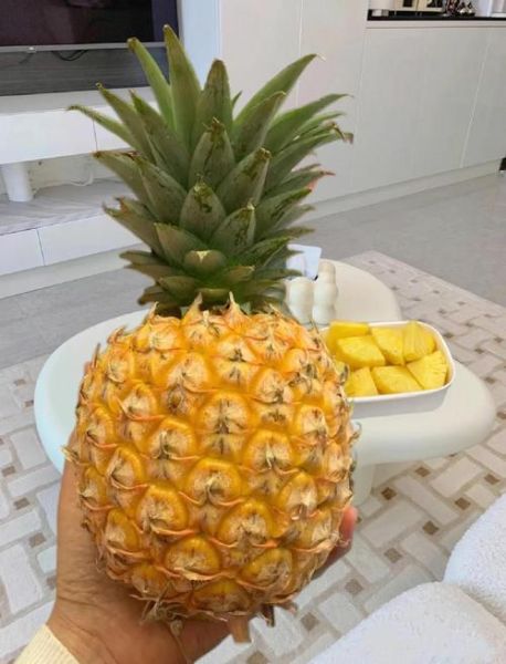 台湾凤梨多少钱一斤_台湾凤梨价格影响因素-第2张图片-山城妙识