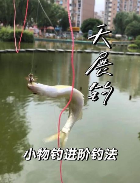 钓鱼技巧_如何提高上鱼率-第3张图片-山城妙识