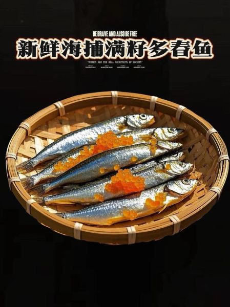 多春鱼和秋刀鱼哪个好吃_营养价值区别-第2张图片-山城妙识