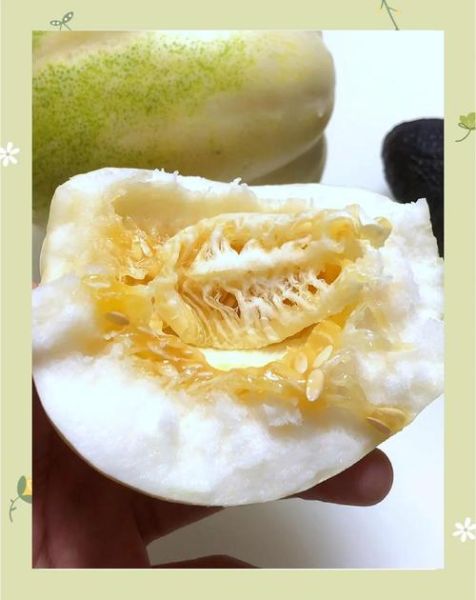 东北香瓜图片_东北香瓜怎么挑-第2张图片-山城妙识 东北香瓜图片_东北香瓜怎么挑-第2张图片-山城妙识