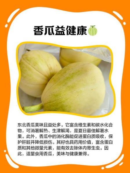 东北香瓜图片_东北香瓜怎么挑-第1张图片-山城妙识 东北香瓜图片_东北香瓜怎么挑-第1张图片-山城妙识