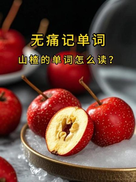 山楂英语怎么说_山楂英语例句-第1张图片-山城妙识