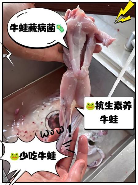 牛蛙寄生虫对人体的危害_如何预防感染-第1张图片-山城妙识 牛蛙寄生虫对人体的危害_如何预防感染-第1张图片-山城妙识