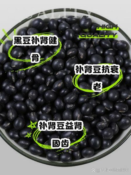 肾豆怎么吃_肾豆的正确做法与禁忌-第1张图片-山城妙识