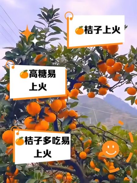 桔子是热性还是凉性_吃桔子会上火吗-第2张图片-山城妙识