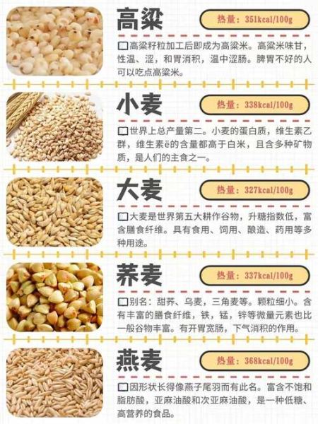 杂粮有哪些种类_五谷杂粮名称大全-第1张图片-山城妙识 杂粮有哪些种类_五谷杂粮名称大全-第1张图片-山城妙识