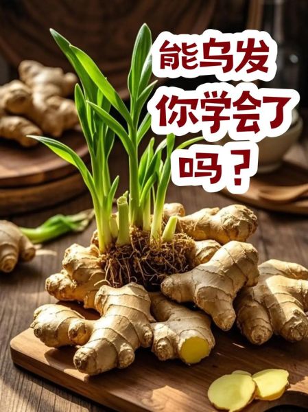生姜发芽了还能不能吃_生姜发芽有毒吗-第2张图片-山城妙识
